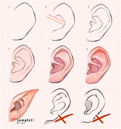 How To Draw Ears By Kawanocy DISCLAIMER I DONT OWN ANY OF THE ART I POST This Account Is