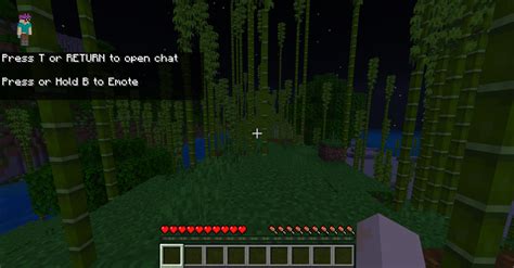 How To Host A Bedrock Minecraft Server Cybrancee Knowledgebase