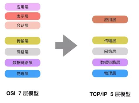ip网络层协议详解：tcp udp 与组播广播 csdn博客