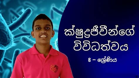 ක්ෂුද්‍රජීවීන්ගේ වැදගත්කම 8 ශ්‍රේණිය විද්‍යාව Grade8 First Lesson Science Science Youtube