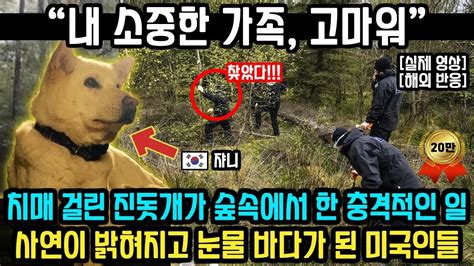 치매 걸린 진돗개가 미국을 눈물바다로 만든 사연 Youtube