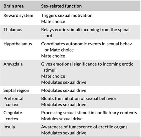 Neuroanatomy and function of human sexual behavior A neglected or unknown issue Calabrò