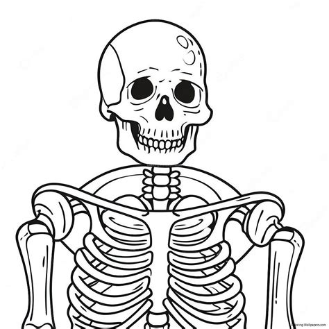 Detailed Human Skeleton Coloring Page 40964 32359