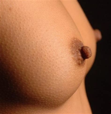 pic is unrelated i`m looking for a specific porn i watched a while ago please help 1142843