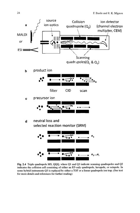 Octapole Collision Cell Big Chemical Encyclopedia
