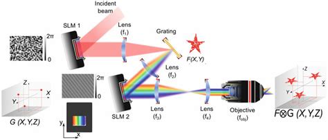 multiplexed temporally focused cgh patterns projection of temporally