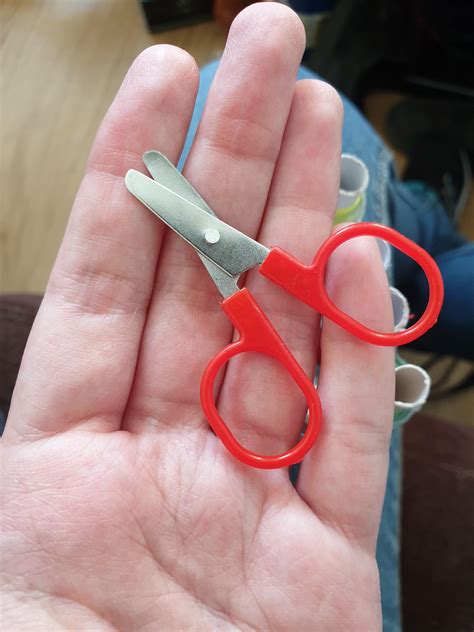 This Tiny Pair Of Scissors R Tiny