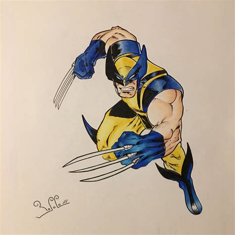 Wolverine Drawing At Explore Collection Of