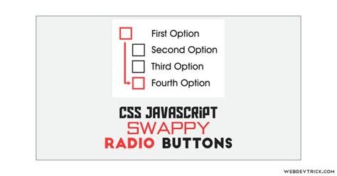 Swappy Radio Buttons With Css And Javascript Radio Input Animation