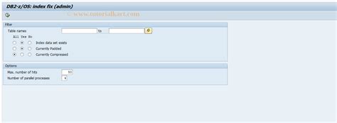 Db2ixfix Sap Tcode Db2 Zos Index Fix Padded Codepg