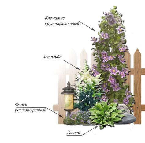 Цветник с клематисом Идеи посадки растений Клумбы Цветник