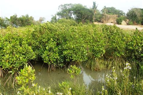 Biswajeet Samal Posted On Linkedin