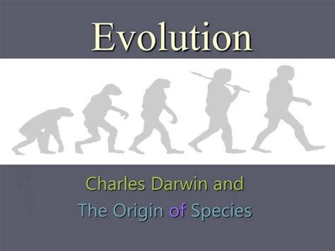 Evolution Presentation Ppt 1 Pdf 20240813 001806 0000 Pdf