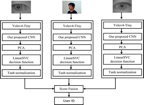 Block Diagram Of The Proposed Face And Both Irises Multimodal Biometric Download Scientific