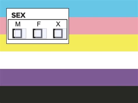 Non Binary Nyers Can Soon Choose Gender X On State Ids Top Stories New York City Ny Patch