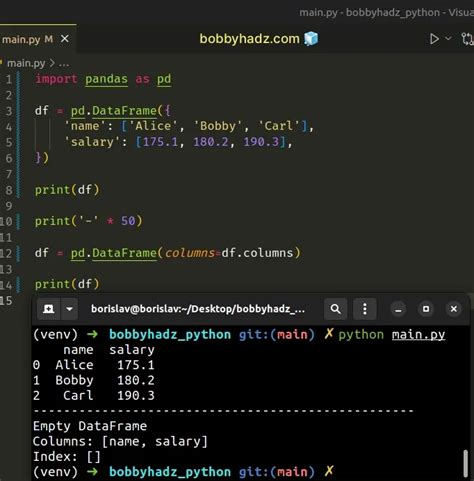 How To Drop All Rows In A Pandas Dataframe In Python Bobbyhadz