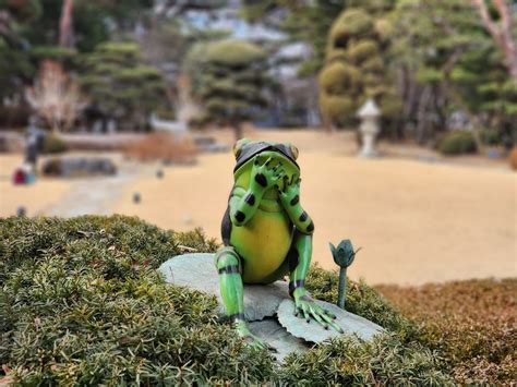 ‘경칩 사흘 앞으로개구리 ‘수줍은 듯 중앙신문