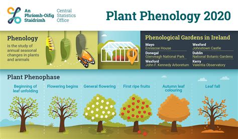 Differential Vegetation Phenology At Emily Armytage Blog