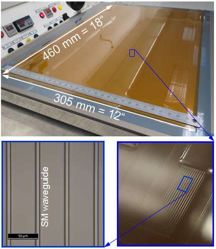 Left Pictures Showing Processed Single Mode Polymer Waveguides On