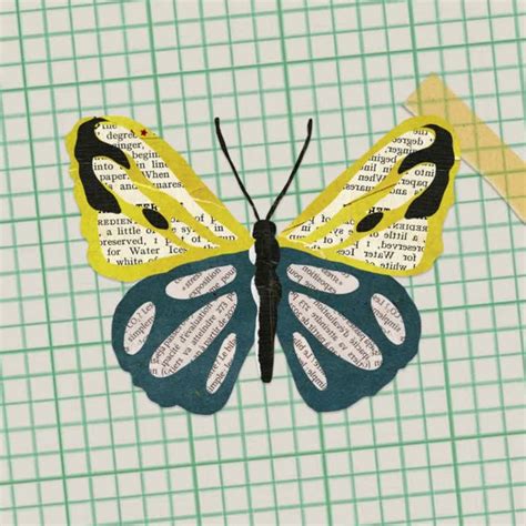 anshika mishra on linkedin feeling butterflies 🦋🦋 wait what are you