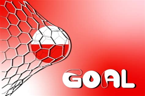 그물에 폴란드 축구 공입니다 2022 카타르 월드컵 프리미엄 벡터