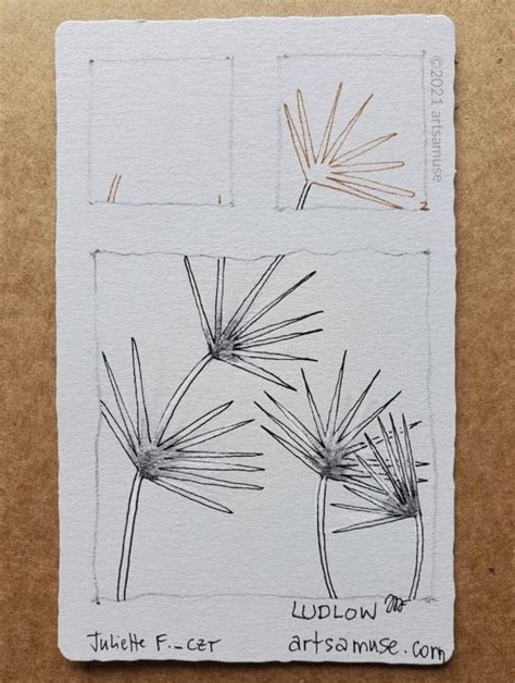 Zentangle Patterns For Inspiration