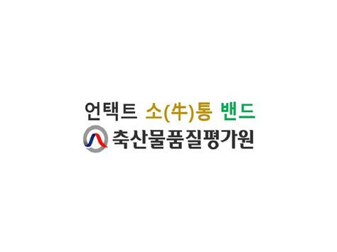 언택트 소 牛 통 밴드 BAND