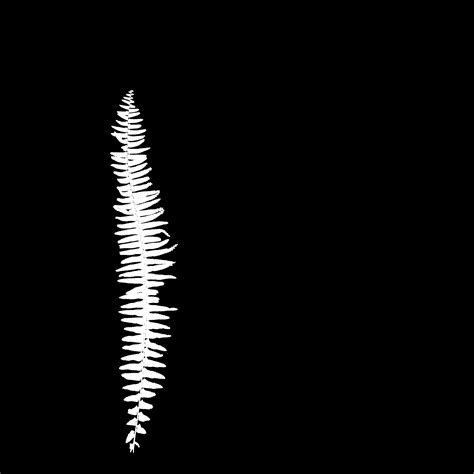 Deform Instance Geometry Along Path For General Questions Exlevel Forum