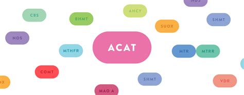 What Is An Acat Gene Mutation