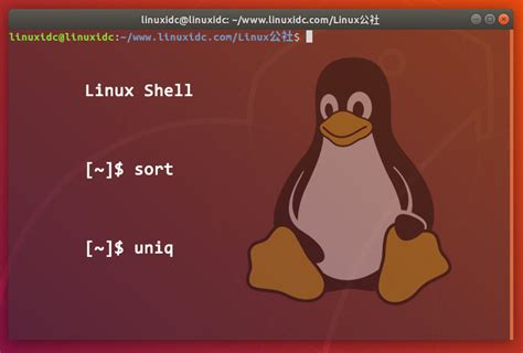 Linux Shell 如何使用sort与uniq命令删除重复的文本行 服务器评测