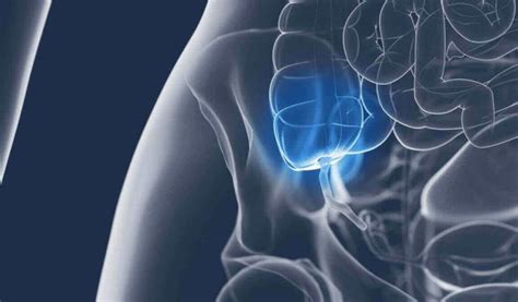 What Is The Recovery Process After An Appendectomy And What Are The