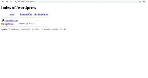 How To Install Elementor In Localhost In 2025 Step By Step