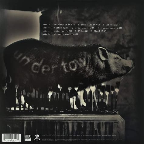 Tool Undertow Album Cover