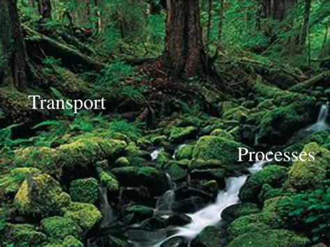 PPT Transport PowerPoint Presentation Free Download ID 3026057