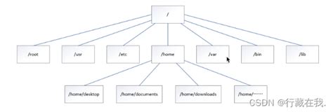 Linux基本语法linux语法 Csdn博客