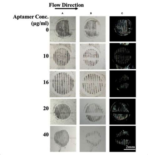 Effect Of Aptamer Concentration On The Removal Of Surface Immobilized Download Scientific