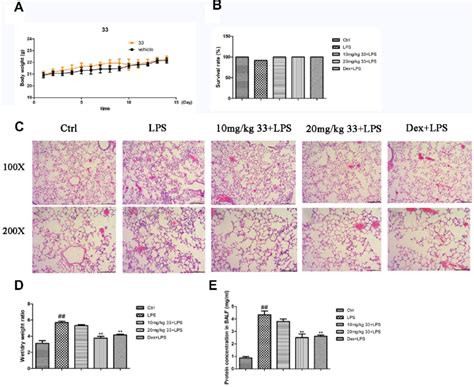 Effects Of Compound 33 On Mice With Lipopolysaccharide Lps Induced Download Scientific