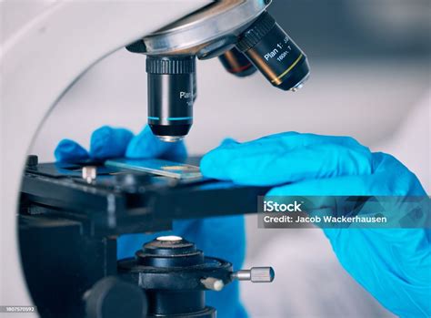 제약 또는 의학 연구를 위한 기술 테스트를 통한 현미경 손 및 과학 종사자 연구 입자 및 병원에 입원한 사람을 위한 화학 생체 인식 및 분자 분석 장비 개발에 대한 스톡