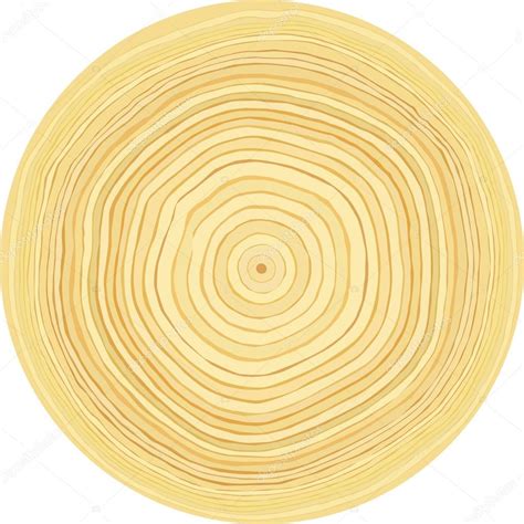 Log Cut Slice Stock Vector By ©olegerin 95670298