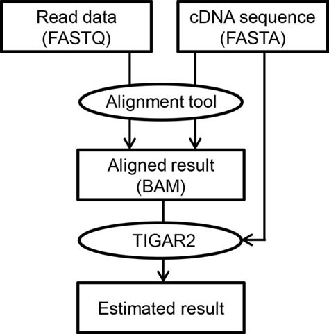 Tigar2 Estimation Of Transcript Isoform Expression With Longer Rna