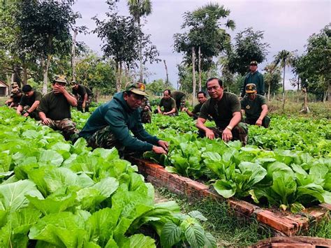 តំបន កងទ័ពជើងគោកនៃកងយោធពលខេមរភូមិន្ទ Royal Cambodian Army
