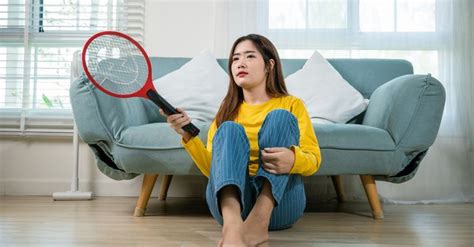 รวมรูปภาพของ หงุดหงิดจะตบ ยุง แต่บินหายวับไปกับตา กูรูแนะต้องมองจุดนี้ อึ้งเจอเกาะอยู่จริงๆ