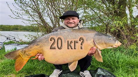 Карп на 8 кг фото