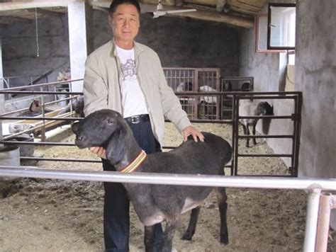 一千块钱怎么理财 一千块钱做什么生意好 随意云