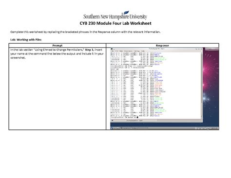 CYB 230 Module Four Lab Worksheet CYB 230 Module Four Lab Worksheet Complete This Worksheet By
