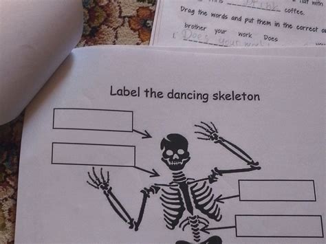 Label The Dancing Skeleton Studyx