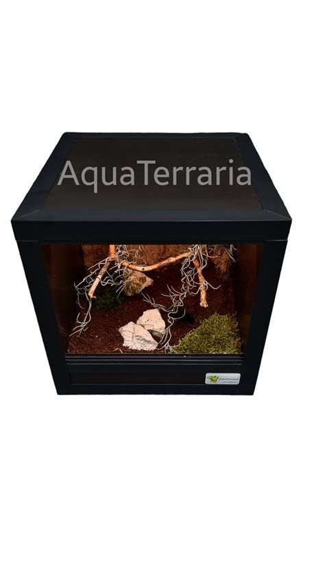 Spinnen Of Insecten Betonplex Terrarium Met Mooie 3d Achterwand En Inrichting Aquaterraria