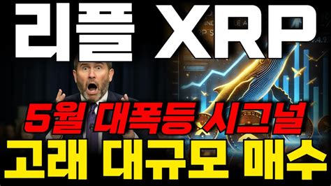 리플 Xrp 재단긴급일정발표🔥 리플고래 2000억 매수 5월 대폭등 이제부터 시작합니다 홀더필수영상 Youtube