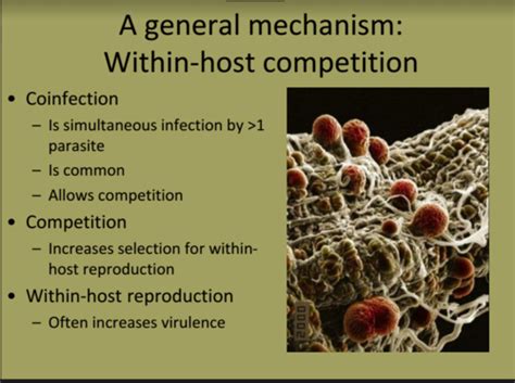 Evolution Of Virulence Flashcards Quizlet