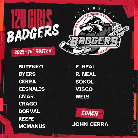 Allegheny 📢 Girls Hockey Is Back At Badgers 🦡 Introducing Your 2025